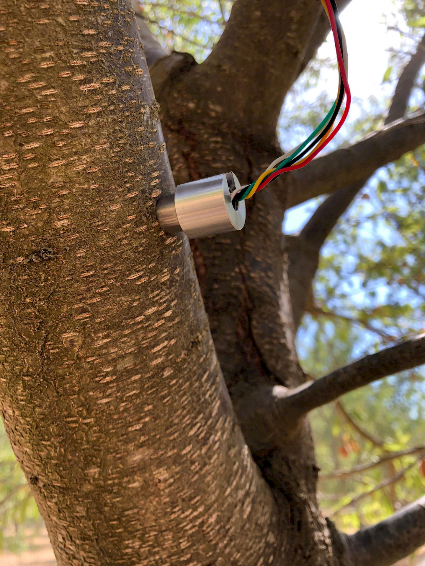 Stem water potential | Ecomatik GmbH